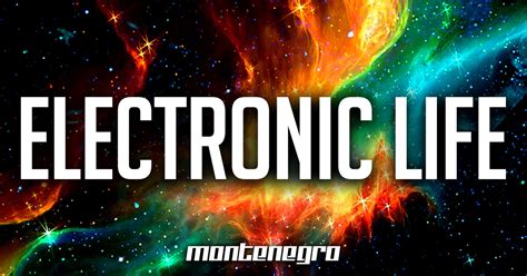 Electronic Life De Montenegro