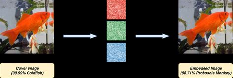 Lsb Matching Embedded Image Misclassification Download Scientific