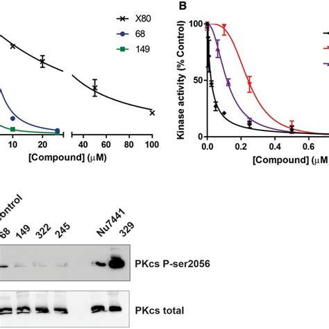 Emsa Analysis Of Ku Inhibitors A Inhibition Of Ku Dna Binding As