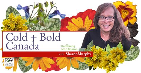Cold Bold Canada™ Sharon Murphy Proven Winners