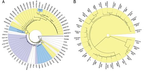 Figure 2 From High Throughput Genomic Sequencing Of Cassava Bacterial