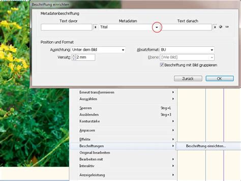 adding and designing captions in adobe indesign