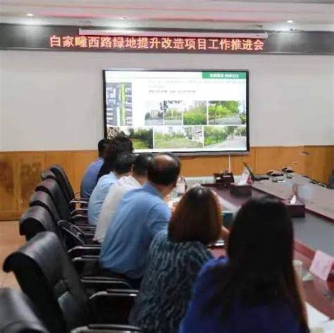 【聚焦】温泉镇召开白家疃西路绿地提升改造项目工作推进会 的设计 进行 余新星