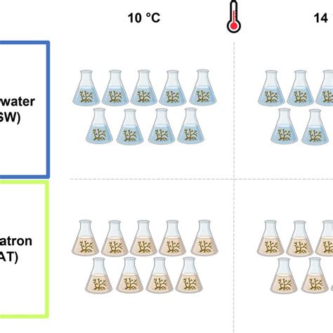 Experimental Design For Each Treatment Nine Replicate 2 L Flasks