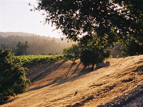Benovia Winery All You Should Know Before Going 2026 With Reviews