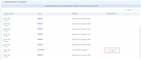 Download Execution Report