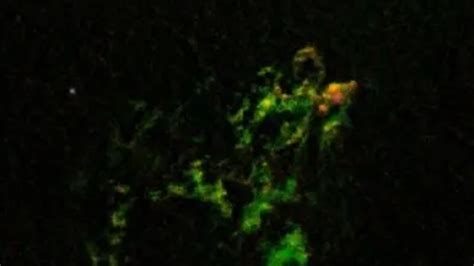 Hubble Telescope Spots Strangely Alive Green Blob In Outer Space
