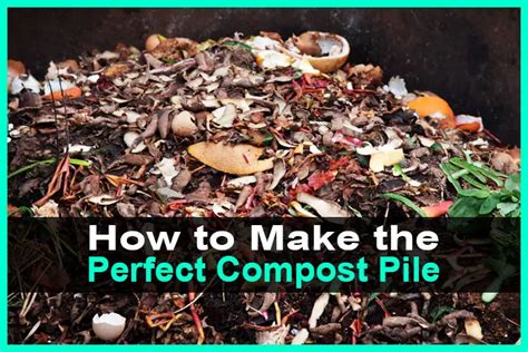How To Make The Perfect Compost Pile