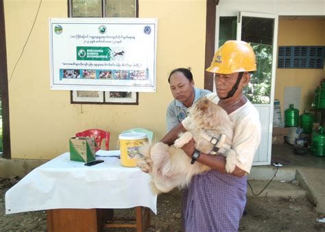 မင်းလှမြို့တွင် ၁၈ ကြိမ်မြောက် ကမ္ဘာ့ခွေးရူးရောဂါကာကွယ်တိုက်ဖျက်ရေးနေ့အထိမ်းအမှတ် ခွေးရူးရောဂ