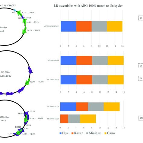 A Schematic To Compare Klebsiella Arg Detection From The Unicycler