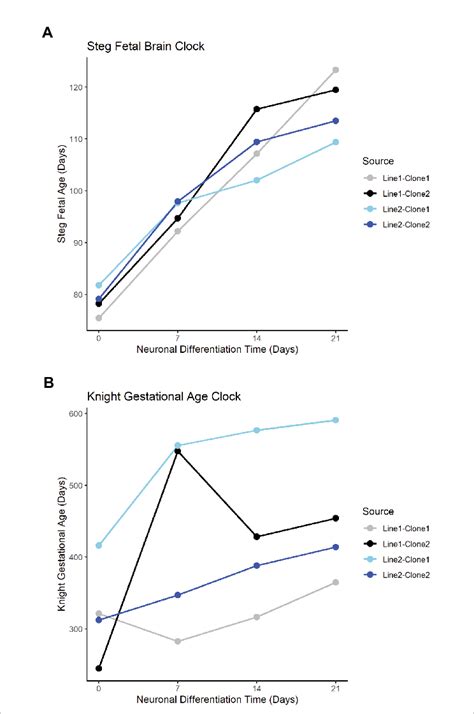 Fetal Clocks Plotted Against Neuronal Differentiation Time For Steg
