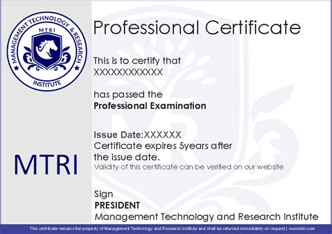 Ict Professional