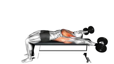 10 Bench Exercises For A Full Body Workout How To Use A Workout Bench