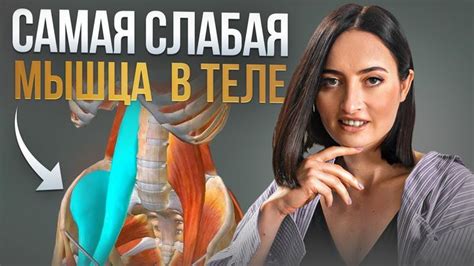 Из за ЭТОЙ мышцы постоянно БОЛИТ ПОЯСНИЦА 4 УПРАЖНЕНИЯ чтобы это исправить Health Fitness