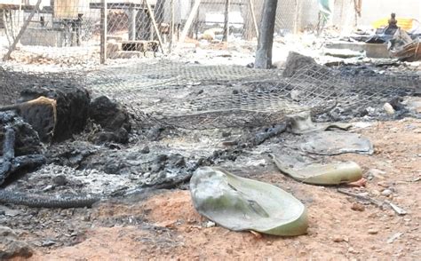 The Goan Everyday Power Officials Claim Line Tripped After Fire Mmc Begs To Differ