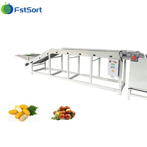 Jujube Dates Plum Fruit Size Sorting Machine Roller Sorter Grader