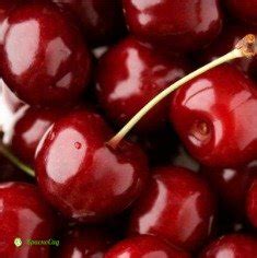 Черешня - Плодопитомник Краснодарского края "Красно-Сад"