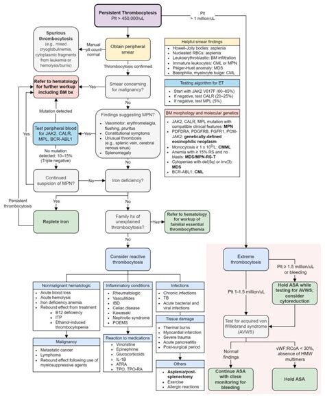 Zeeshan Ahmed Khattak On Linkedin Brilliant Algorithm On How To Approach Thrombocytosis