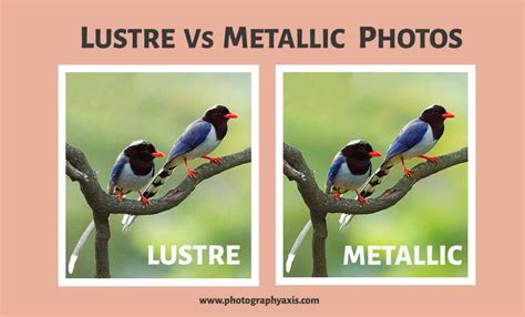 Lustre Vs Metallic Photo Which Is Best Differences PhotographyAxis