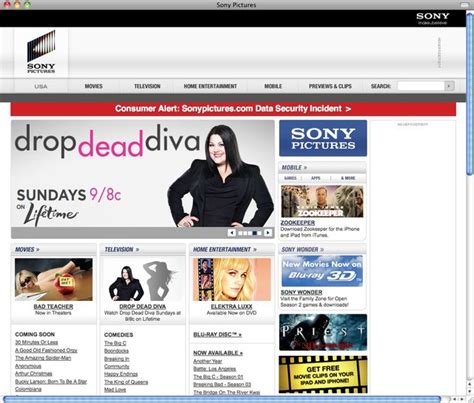 Australische Polizei Nimmt Mutmaßlichen Lulzsec Hacker Fest Der Spiegel