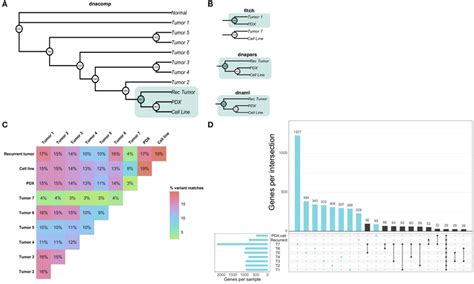 Whole Exome Sequencing Reveals Inter Tumoral Heterogeneity Across The