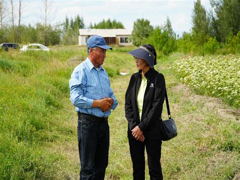 Хүнсний ногооны таримлын сорт сорилт хянан баталгаа хийх сургалт зохион байгууллаа