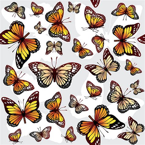 Monarch Butterfly Drawing