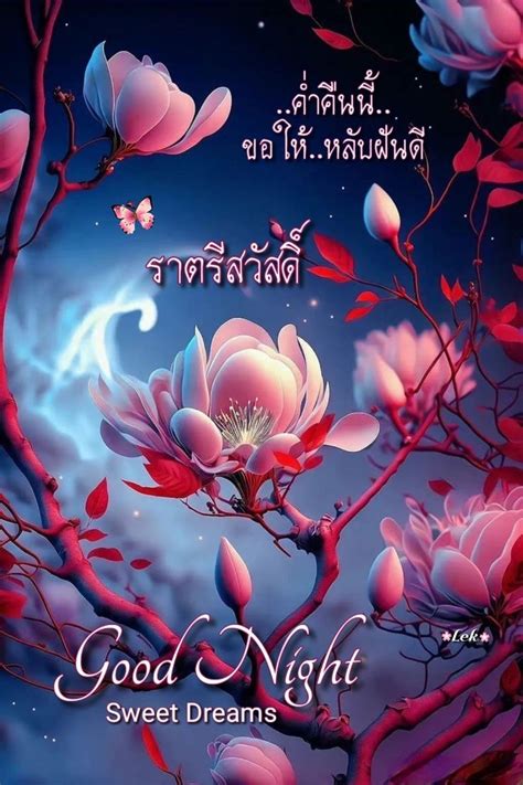 ราตรีสวัสดิ์ Good Night Sweet Dream S ราตรีสวัสดิ์  ราตรี