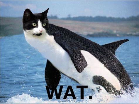 github victorvoid tutorial clojurescript um tutorial de clojurescript para seres humanos