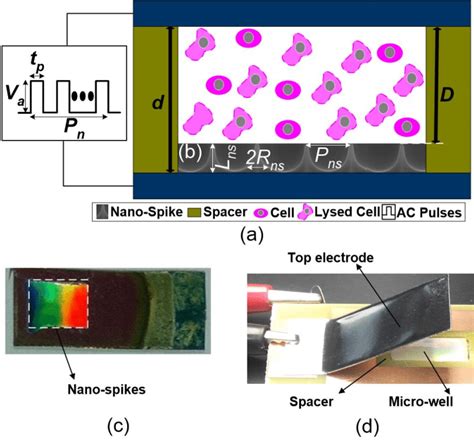 Illustration Of A Nano Spikes Electric Cell Lysis Nsp Ecl Device A Download Scientific
