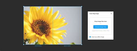 Utilisez Le Plugin Insert Big Image Pour Importer De Grandes Images