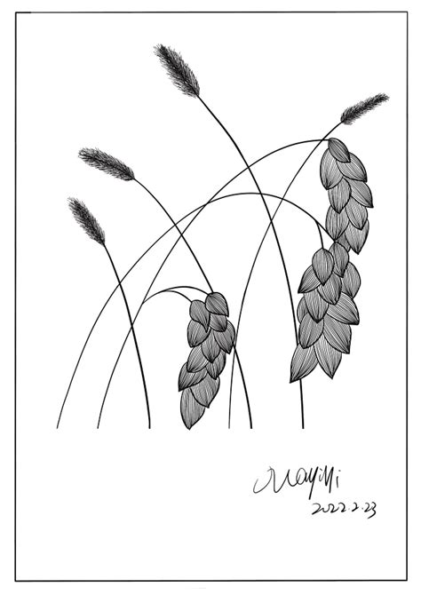 控笔训练 14 100。 Procreate 临摹 侵删 工作室画笔 花瓣网