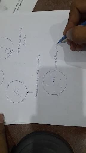 Q 6 Differentiate Accuracy And Precision With An Example R T U 201 D