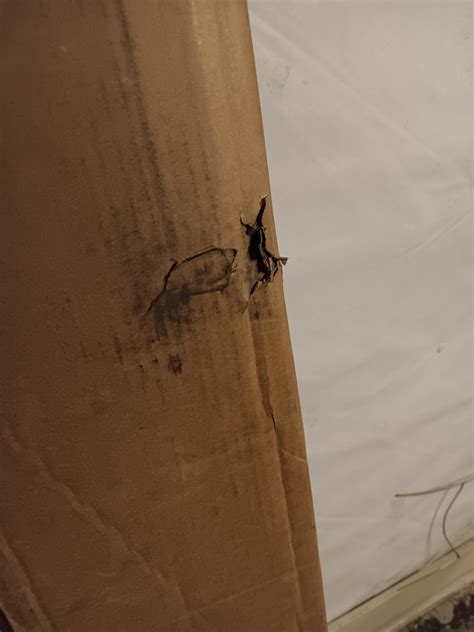 Advice On A Fedex Damage Claim The Muzzleloading Forum