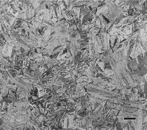 119 Microstructure Of The Core Of A Carburized Heat Treated 4118 Alloy