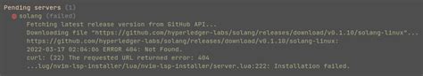 Solang Server Install Bug · Issue 548 · Williambomannvim Lsp