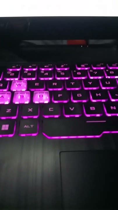 Attractive Portfolio Website Using Htmlcssjavascriptcodinglover