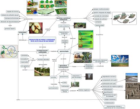 Prod Ecologicamente Sustentable