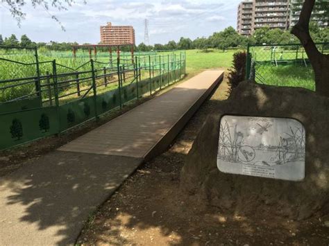 尾久の原公園東京で散歩やウォーキングができる公園