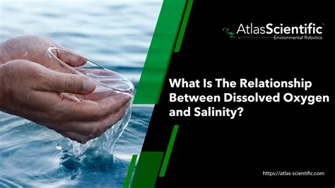 What Is The Relationship Between Dissolved Oxygen And Salinity Atlas Scientific