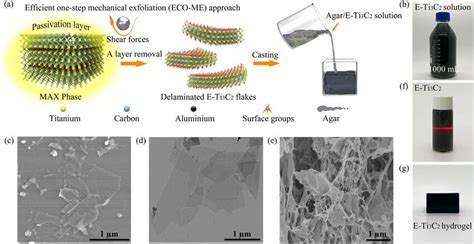 Schematic Diagram Of The Rapid Preparation Of Mxene Using The Eco Me Download Scientific