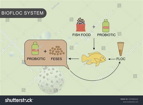 Biofloc Over 5 Royalty Free Licensable Stock Illustrations And Drawings