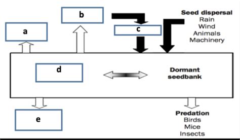 Weeds Lecture Exam I Flashcards Quizlet