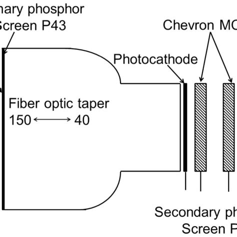 Schematic Representation Of The Different Components Of Position Download Scientific Diagram