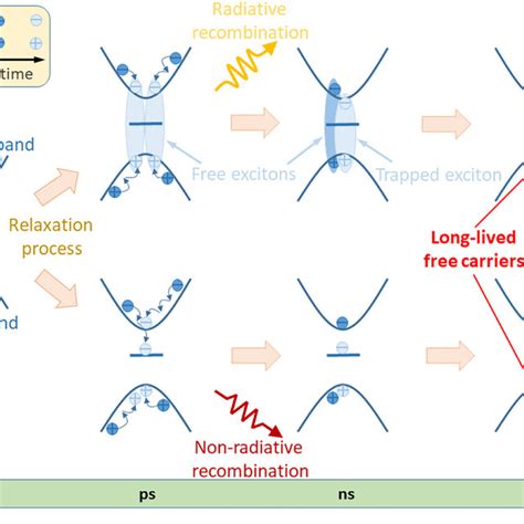 Sketch Of Carrier Dynamics In Monolayer Tmds The Trap Is A Surface