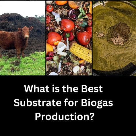 What Is The Best Substrate For Biogas Production Davidson Environmental