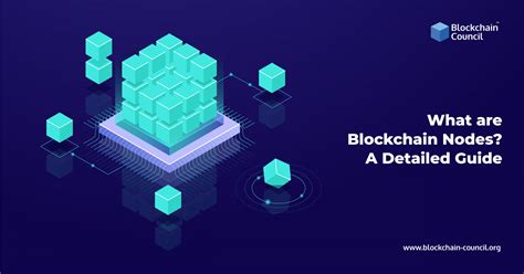 What Are Blockchain Nodes Detailed Guide Updated Blockchain Council