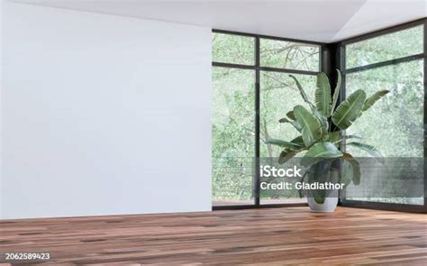 정원 전망과 발코니가 있는 커다란 코너 창문 앞에 커다란 화분 이 있고 반대편에는 빈 흰색 벽이 있는 가구가 없는 현대적인 인테리어가 있습니다 가정의 방에 대한 스톡 사진