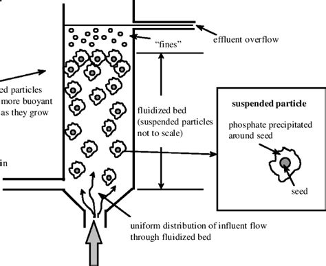 Schematic Representation Of A Uidized Bed Reactor For Phosphate