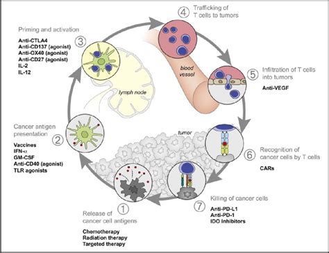Figure 11 From Vaccine Lipid Biopolymer Cross Linked Nanoparticles